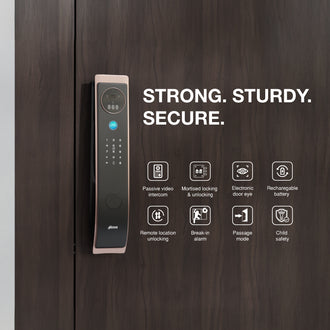 Face & Palm Recognition Smart Door Locks